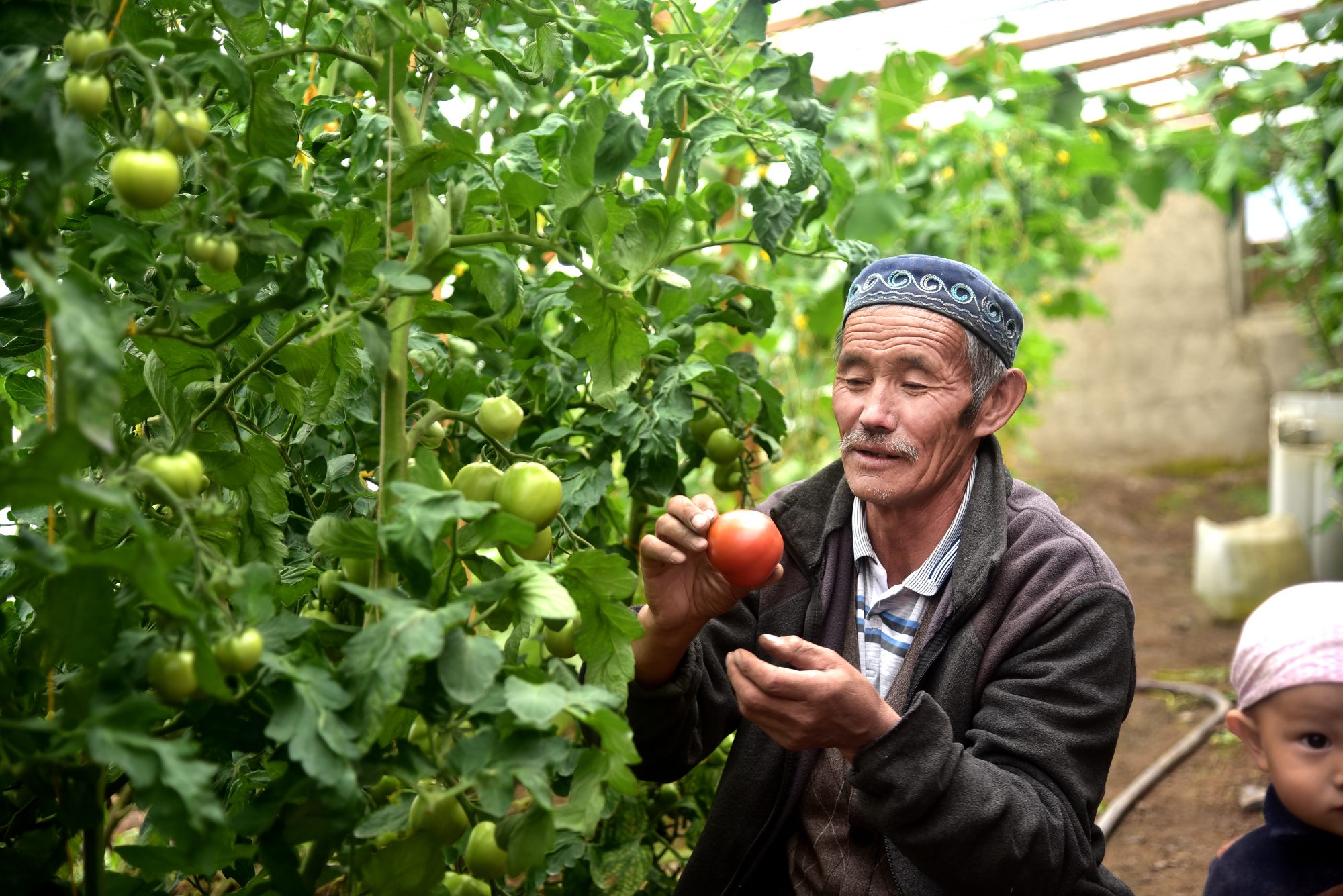 Projects – ADRA Mongolia